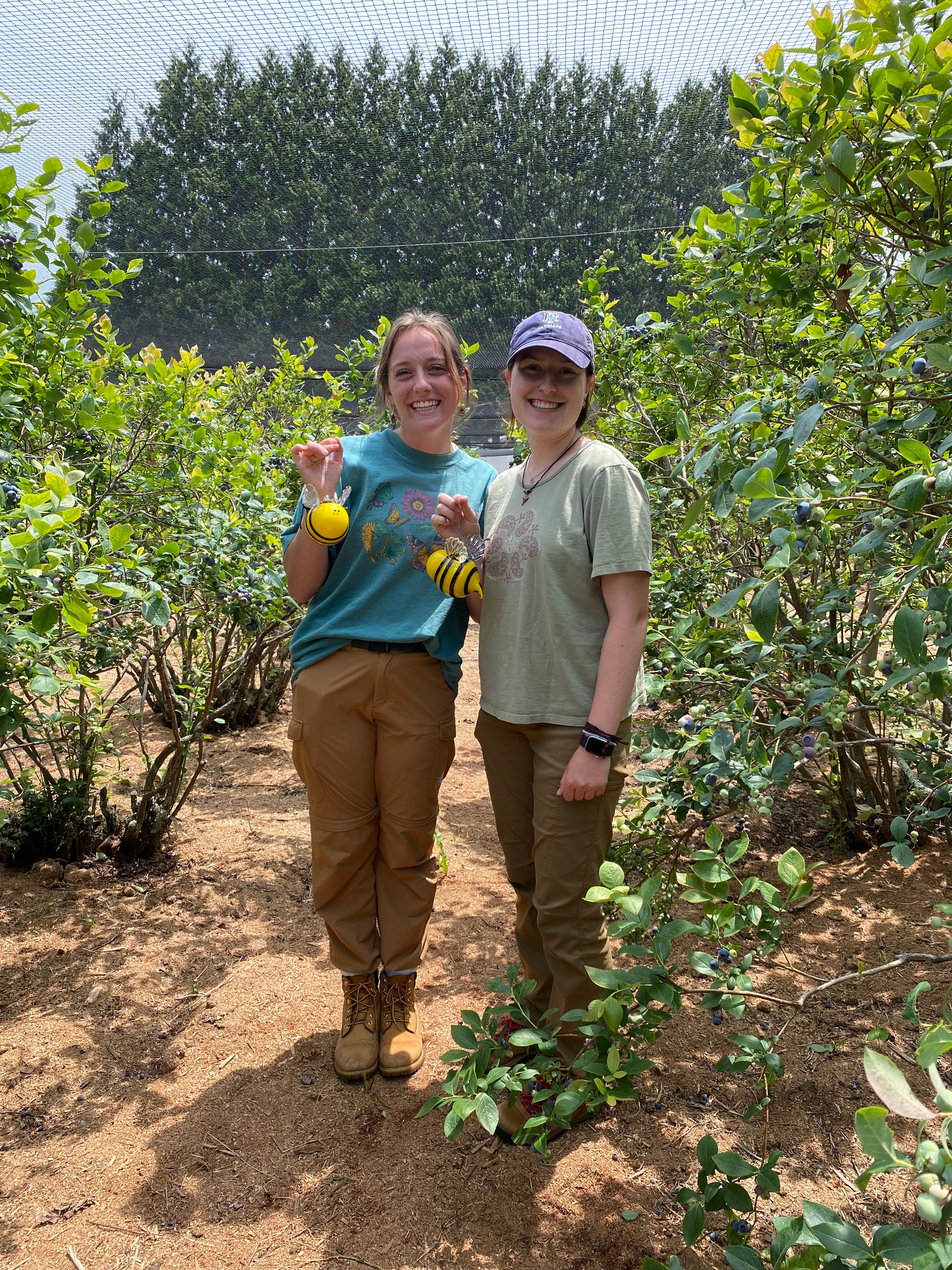 East Farm, the Bees, and the Two Kates – The Glass Station Studio and ...